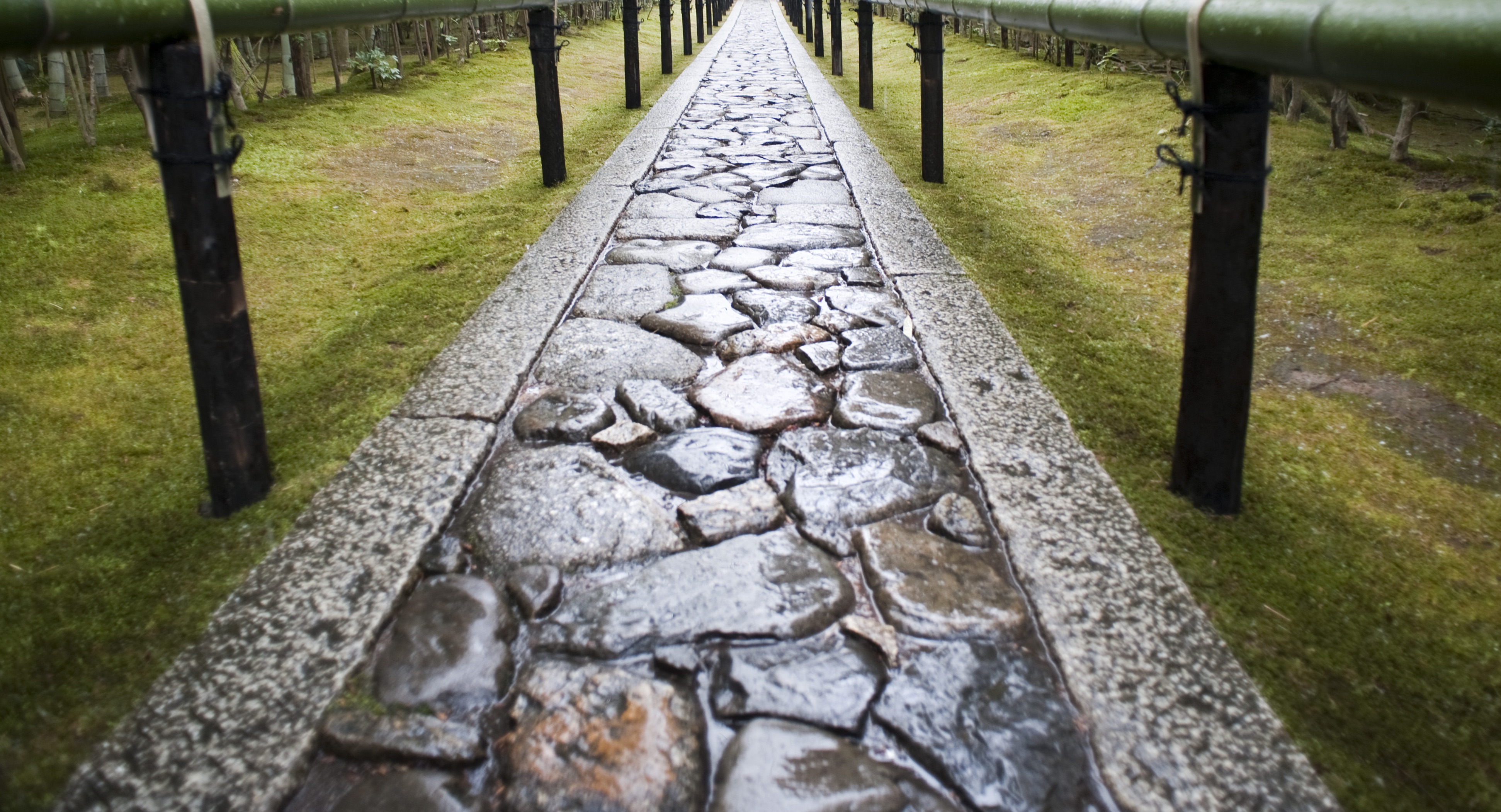 Preparing to Receive Christ - The Girded Mind